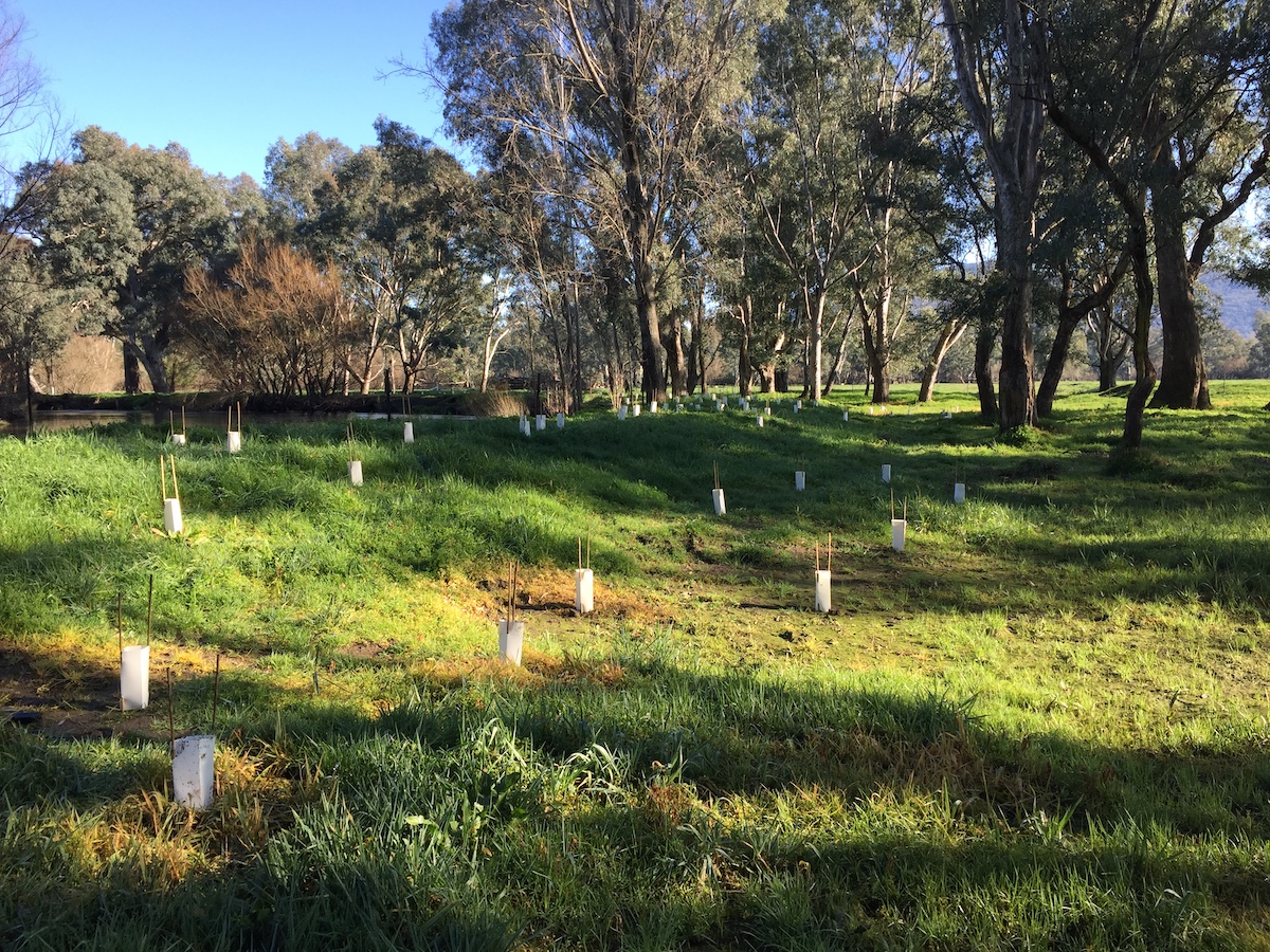Lower Kiewa Catchment Stewardship Project